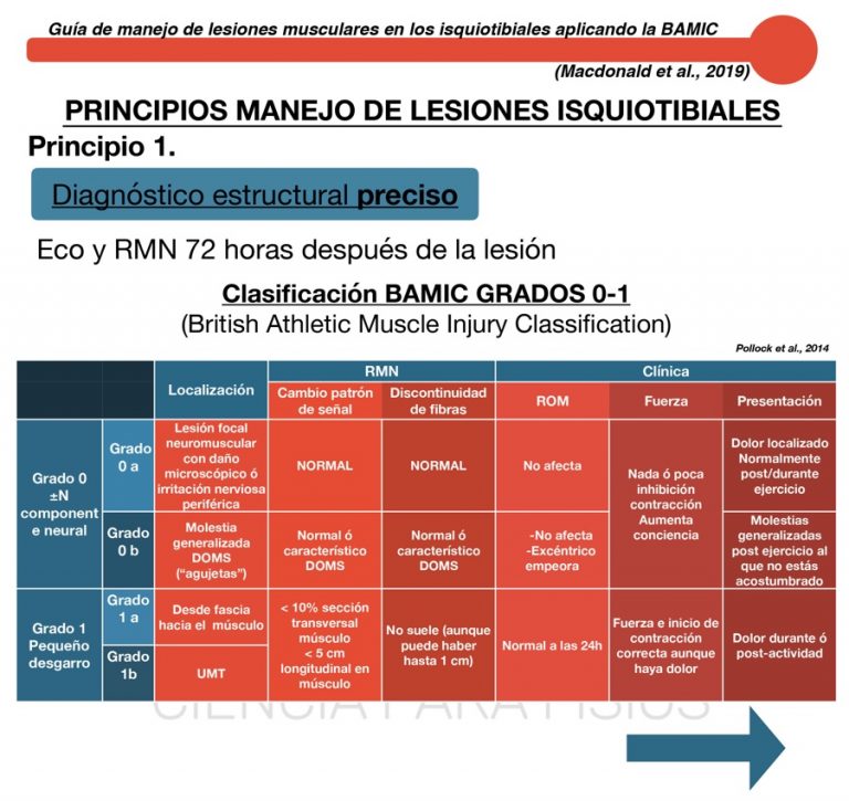 Manejo de lesiones musculares de isquiotibiales. | PHYSIOCIENCIA