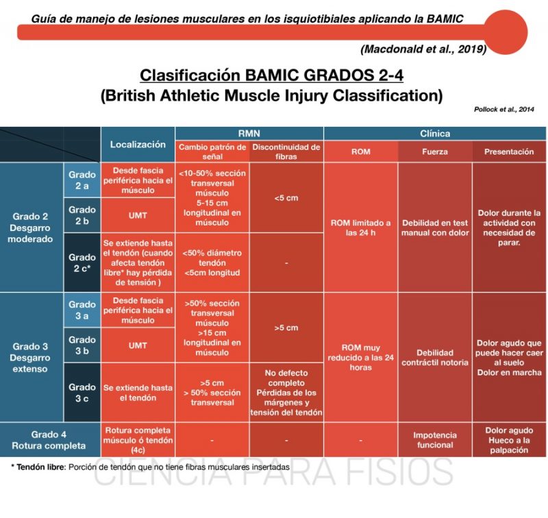 Manejo de lesiones musculares de isquiotibiales. | PHYSIOCIENCIA